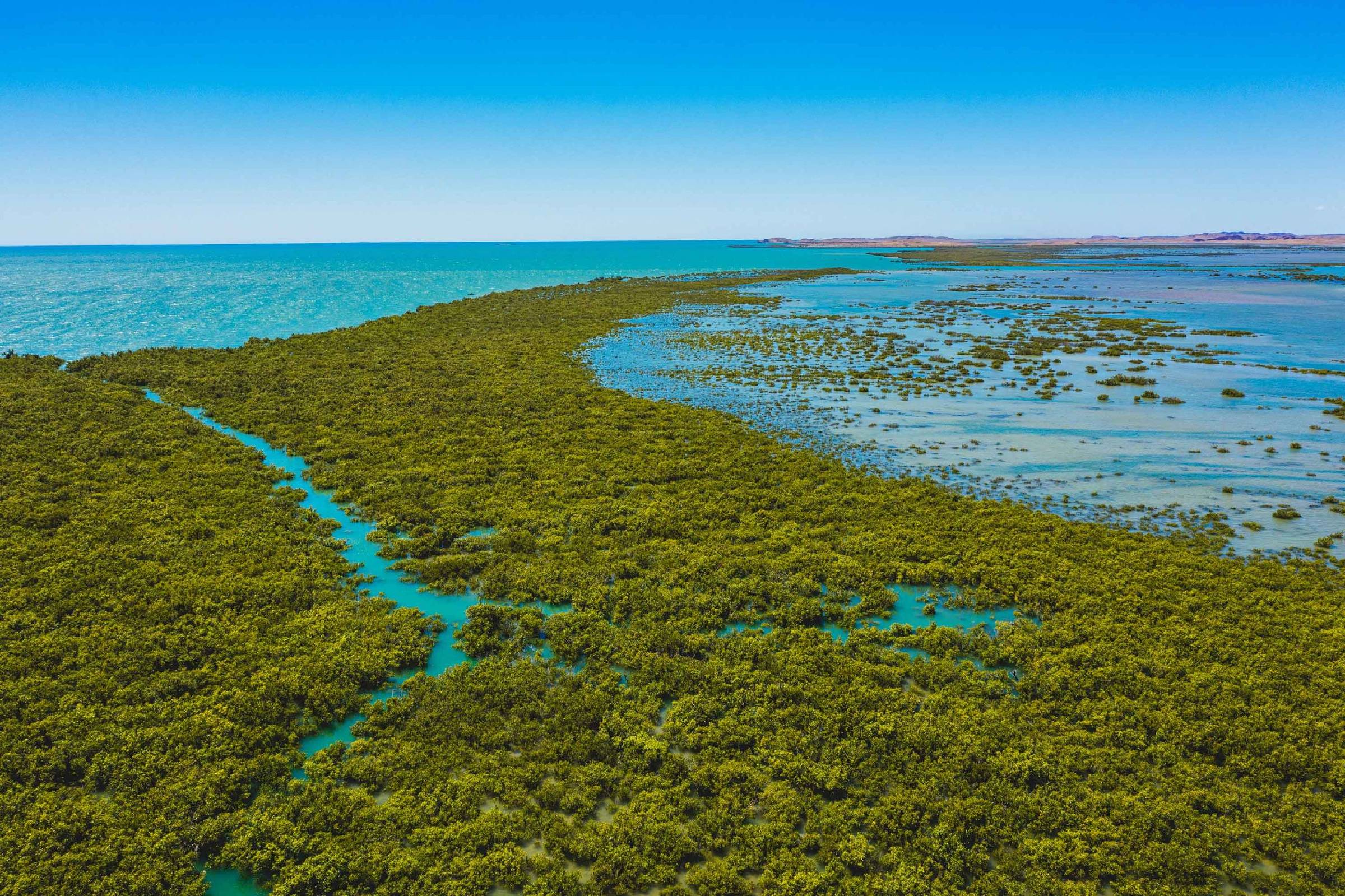 Pilbara Heritage - CORPS