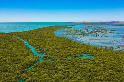 Pilbara Heritage - CORPS