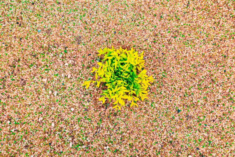 Technology and Innovation - Corps